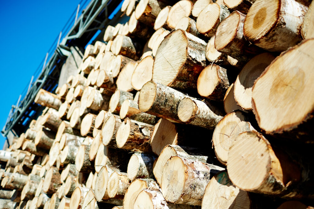 Understanding EUDR and Its Impact on US Timber Exports – Gulf South ...